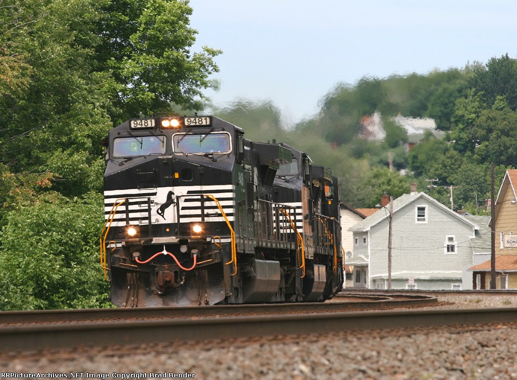 NS 9481